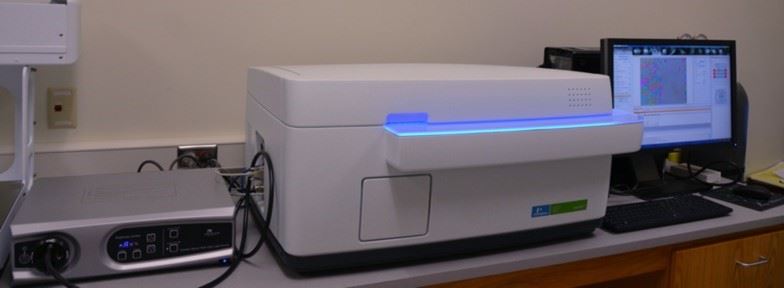 Cancer Functional Genomics | Stephenson Cancer Center - OU Health